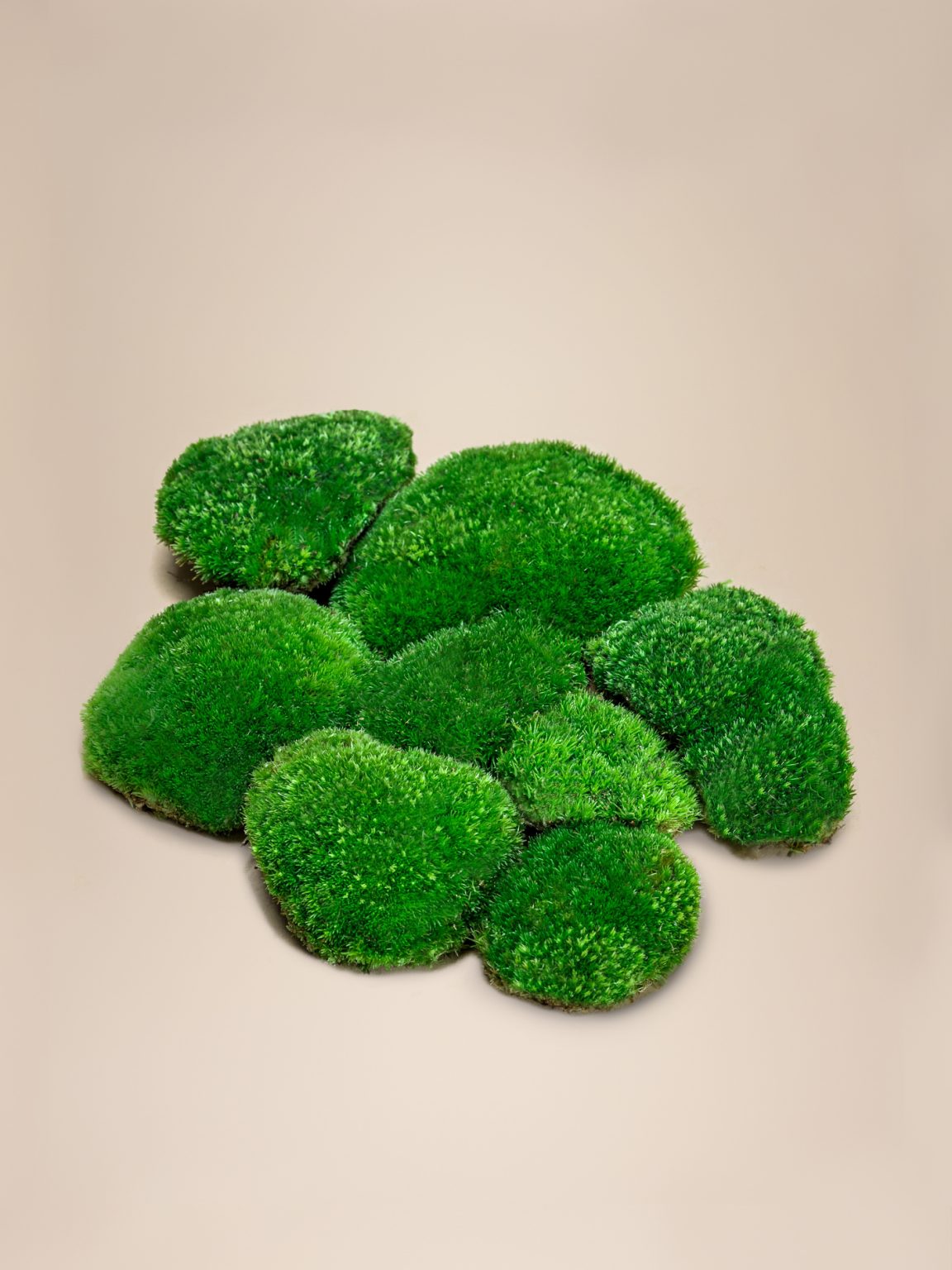 Mech - Las W Słoiku Nature Concept