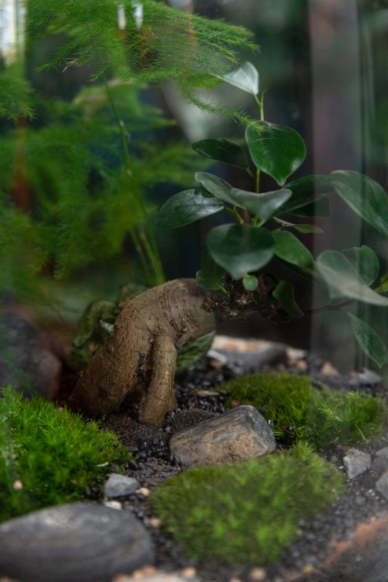 drzewko lovebel H40 cm - Las W Słoiku Nature Concept