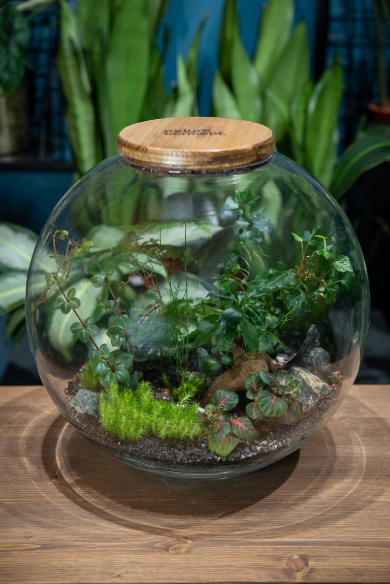 drzewko lovebel H40 cm - Las W Słoiku Nature Concept