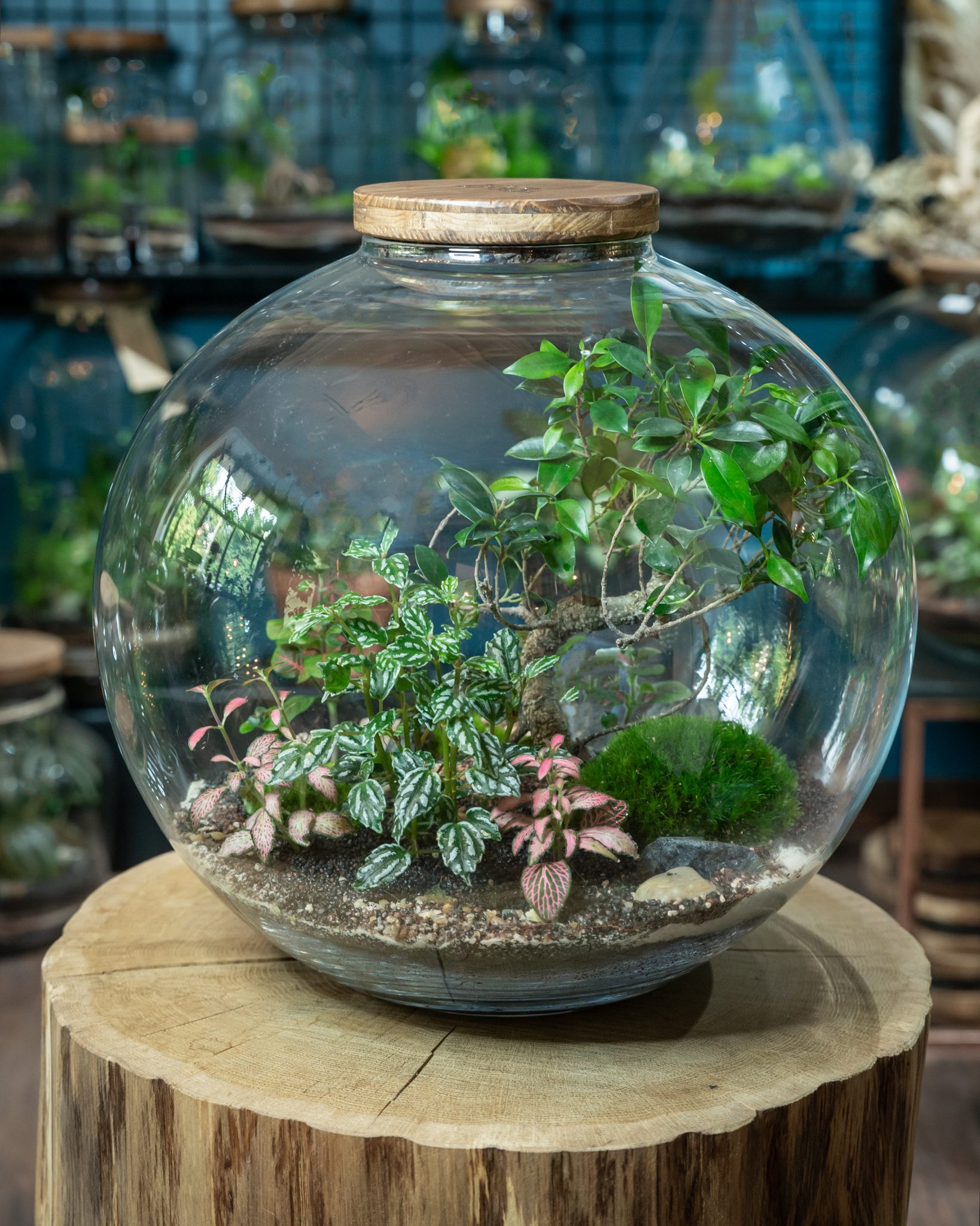 drzewko lovebel H40 cm - Las W Słoiku Nature Concept