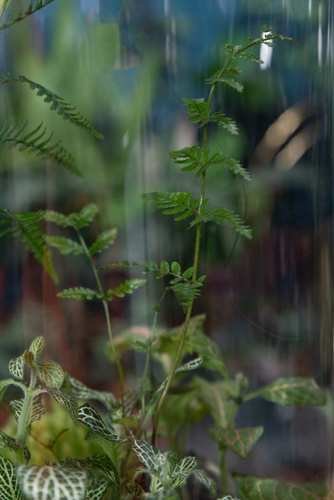 drzewko lovebel H40 cm - Las W Słoiku Nature Concept