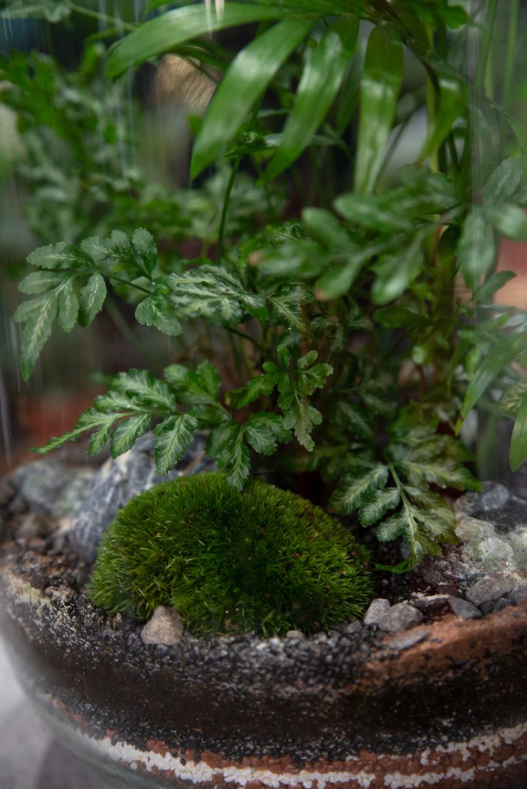 drzewko lovebel H40 cm - Las W Słoiku Nature Concept