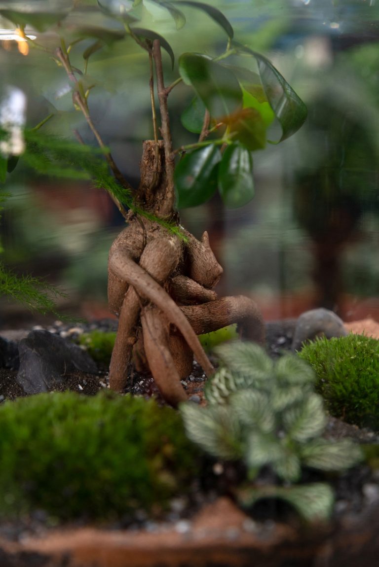 drzewko lovebel H40 cm - Las W Słoiku Nature Concept