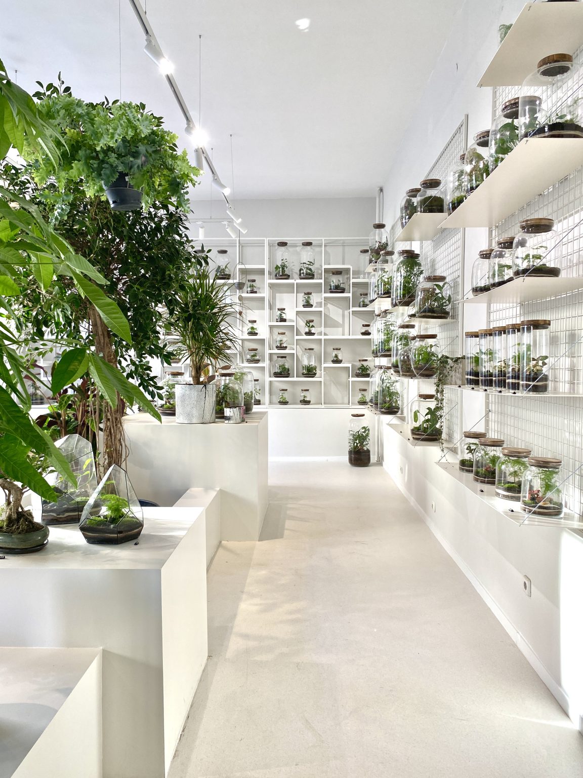 Strona główna - Nature Concept