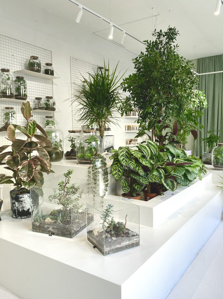 Strona główna - Nature Concept