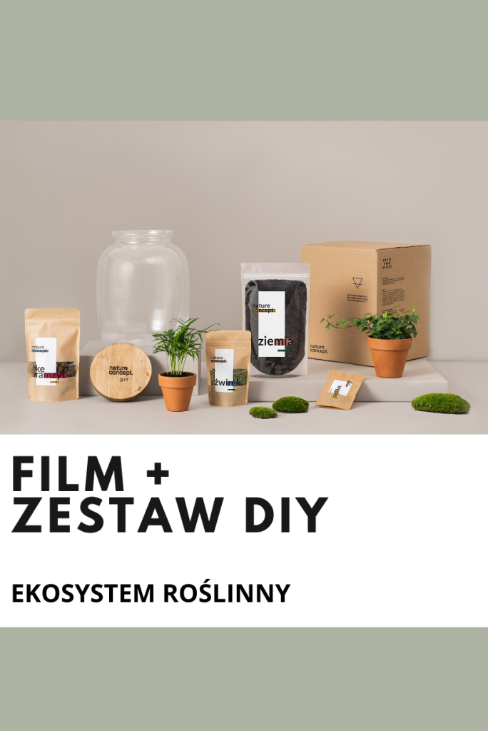 Warsztaty Las w Słoiku film + zestaw zrób to sam - Las W Słoiku Nature Concept