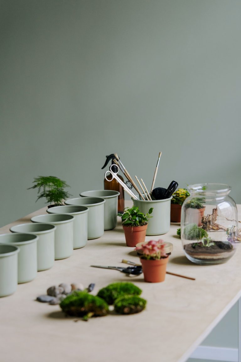 Warsztaty las w słoiku - Las W Słoiku Nature Concept