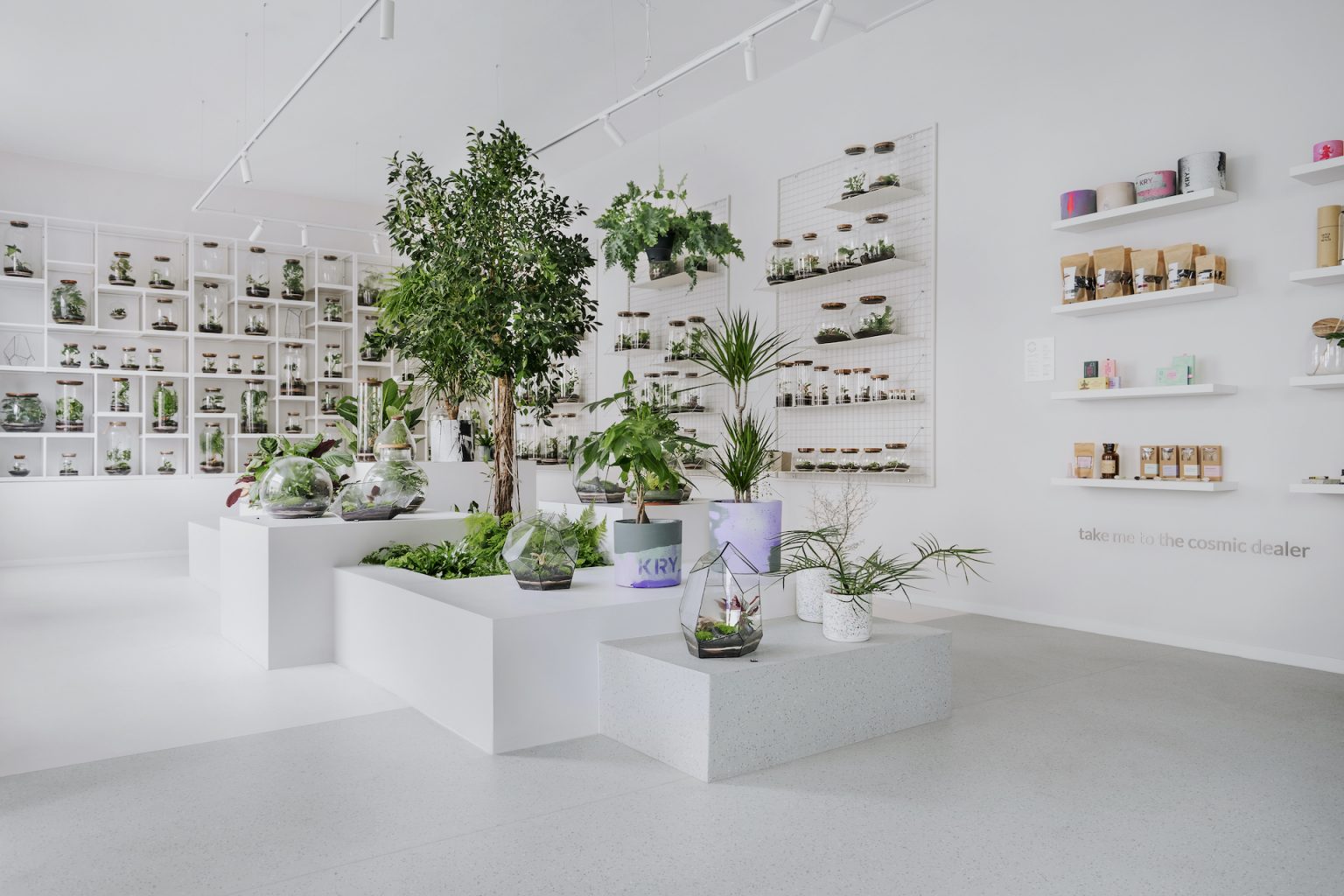 Warsztaty las w słoiku - Las W Słoiku Nature Concept