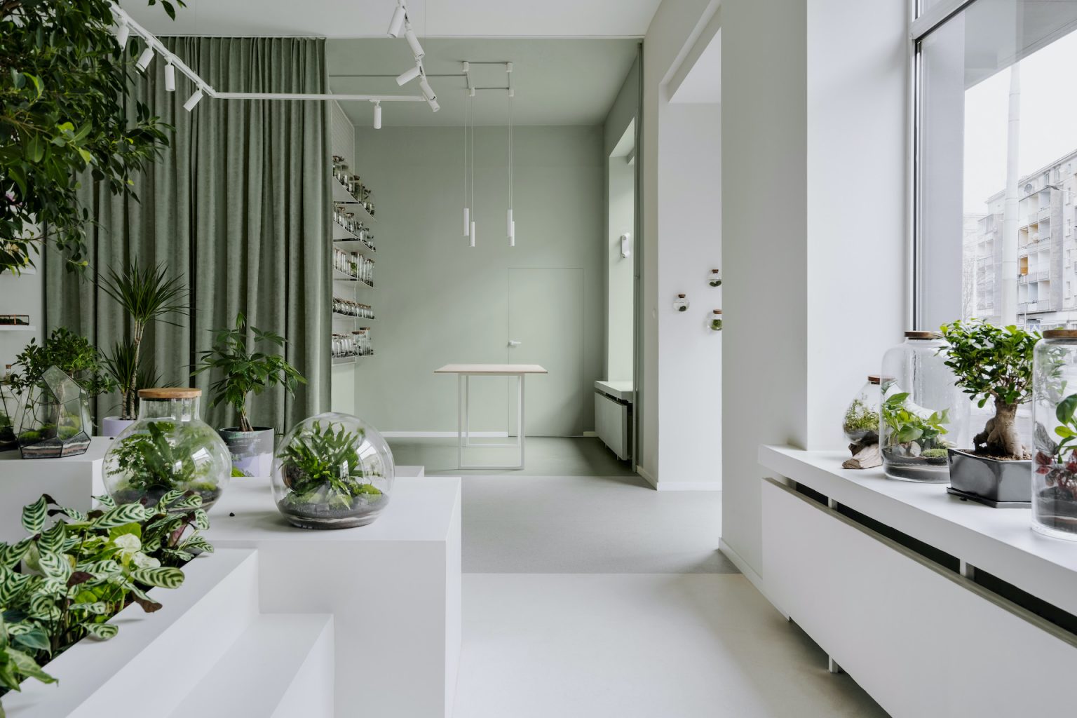 Warsztaty las w słoiku - Las W Słoiku Nature Concept