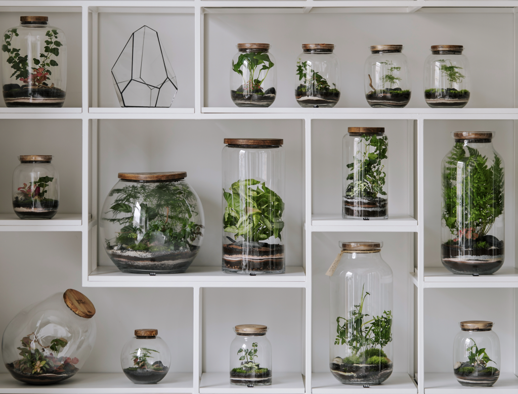 las w słoiku - Las W Słoiku Nature Concept