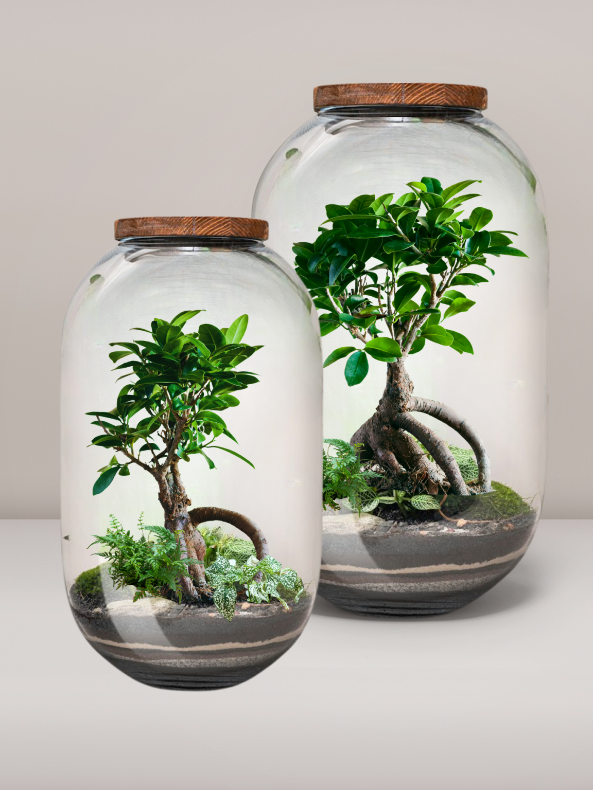 Las w Słoiku paproć mech mini 15 cm - Las W Słoiku Nature Concept