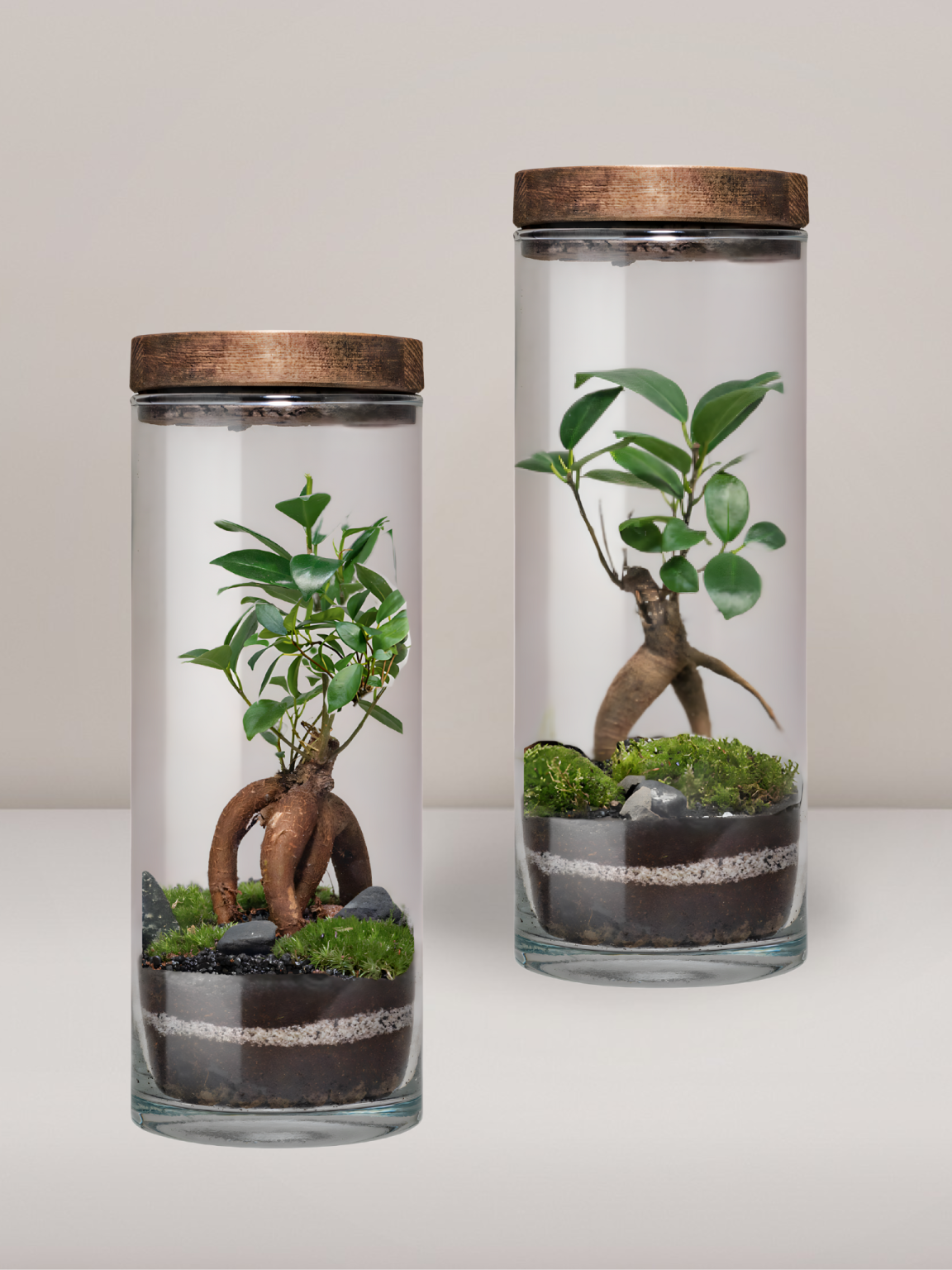 Las w Słoiku paproć mech mini 15 cm - Las W Słoiku Nature Concept